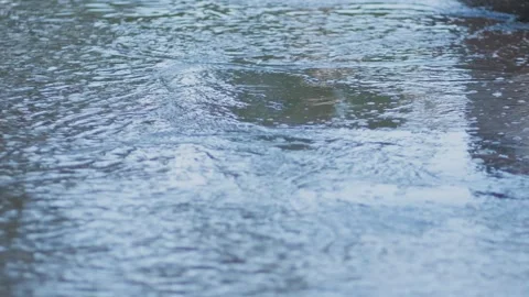 The drops fall into the puddle during th... | Stock Video | Pond5