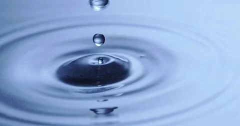 Pure Kity Video Stock Videos – Royalty-Free HD & 4K Videos