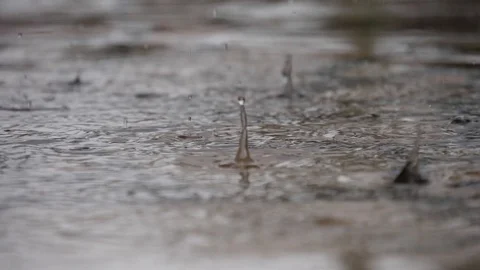 drops of rainwater falling on the ground... | Stock Video | Pond5