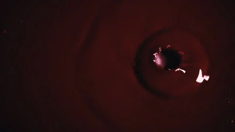 Blood Puddle Stock Footage ~ Royalty Free Stock Videos | Pond5