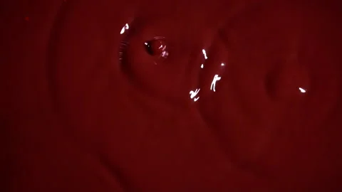 Blood Puddle Stock Videos – Royalty-Free HD & 4K Videos | Pond5