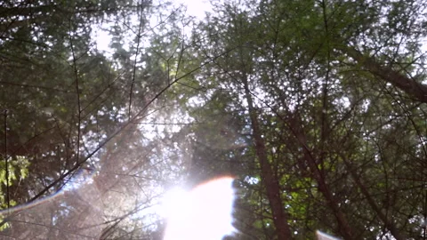 Water Dripping Down Stock Videos – Royalty-Free HD & 4K Videos | Page 3