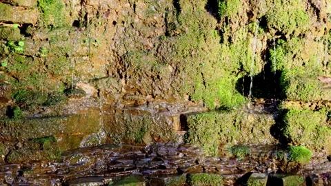 Dripping Water On Rock Stock Video Footage | Royalty Free Dripping ...