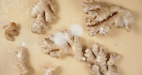 Ginger Falling Stock Video Footage | Royalty Free Ginger Falling Videos ...