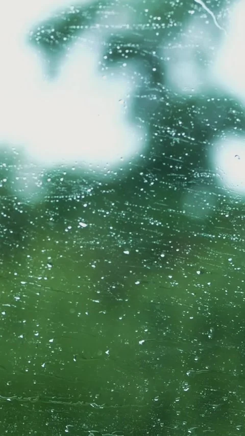 Show Pics Stock Videos – Royalty-Free HD & 4K Videos