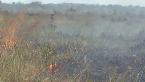 Drought caused by deforestation leaves t... | Stock Video | Pond5