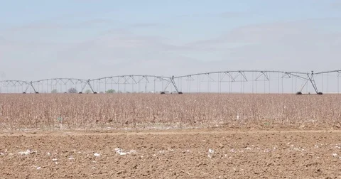 Texas Sprinklers Stock Videos – Royalty-Free HD & 4K Videos