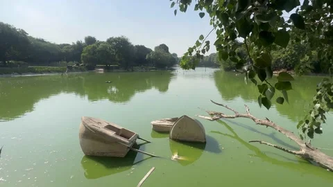 Drown Video Stock Videos – Royalty-Free HD & 4K Videos | Pond5