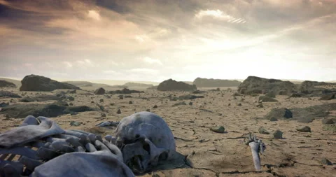 Dry cracked ground with human skeleton, ... | Stock Video | Pond5