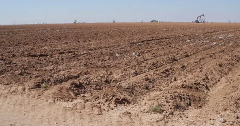 Dry Crops in Field during Draught with o... | Stock Video | Pond5
