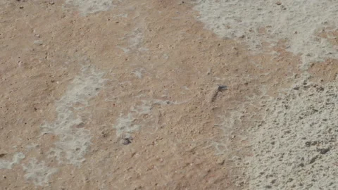 Dry drainage from open pit mine 4K foota... | Stock Video | Pond5