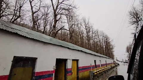 dry forest snow falling in mountain area... | Stock Video | Pond5