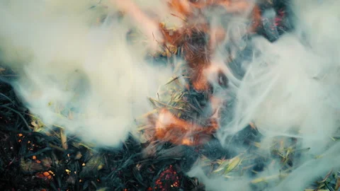 Smoking Grass Stock Videos – Royalty-Free HD & 4K Videos | Pond5