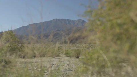 Dry Grass Succulents Grow over Vast Arid... | Stock Video | Pond5