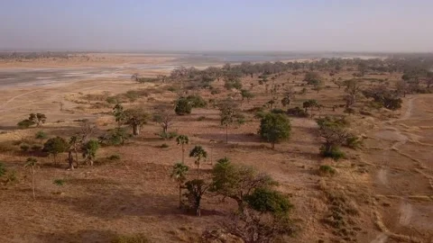 Dry grassland oasis with various tropica... | Stock Video | Pond5