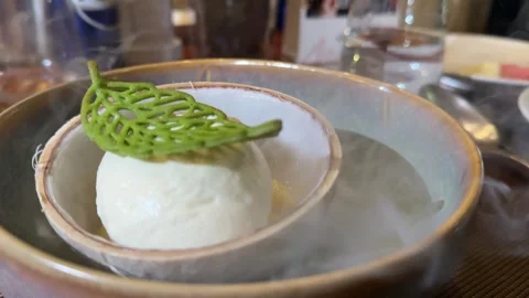dry ice Waiter serving presenting dish l... | Stock Video | Pond5