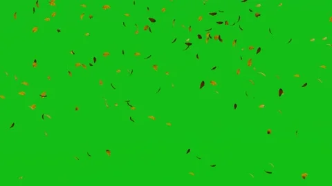 Dry Leaves Falling on Green Screen Backg... | Stock Video | Pond5