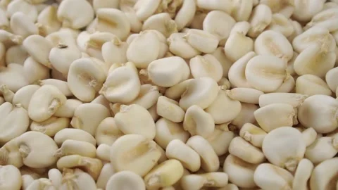 Mote Stock Video Footage | Royalty Free Mote Videos | Pond5