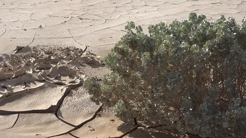 dry parched desert landscape, aged with ... | Stock Video | Pond5