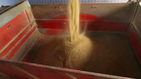 Dry Powder Is Pouring Into Large Contain... | Stock Video | Pond5