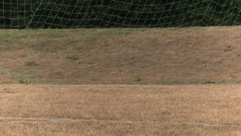 Dry soccer field and brown grass and dro... | Stock Video | Pond5
