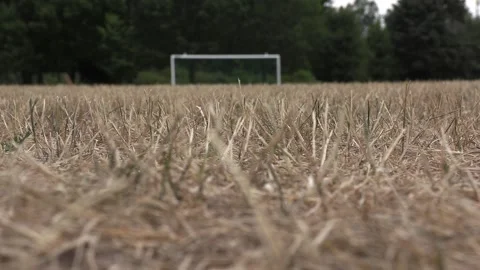 Dry soccer field and brown grass and dro... | Stock Video | Pond5