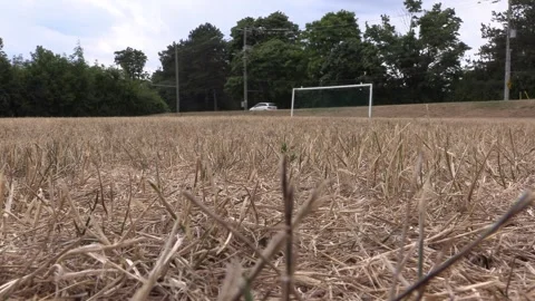 Dry soccer field and brown grass and dro... | Stock Video | Pond5