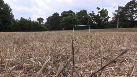 Dry soccer field and brown grass and dro... | Stock Video | Pond5