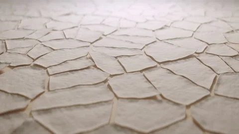 Epidermis Skin Stock Video Footage | Royalty Free Epidermis Skin Videos ...