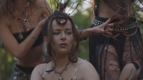 Claws On Trees Stock Videos – Royalty-Free HD & 4K Videos | Pond5