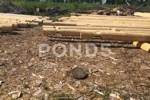 Drying and assembly of wooden log house at a construction base. Stock ...