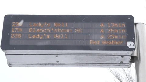 Bus Alert Stock Videos – Royalty-Free HD & 4K Videos