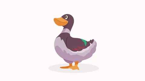duck farm animal character animation | Stock Video | Pond5
