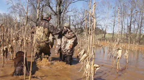 Hunting I Stock Videos – Royalty-Free HD & 4K Videos