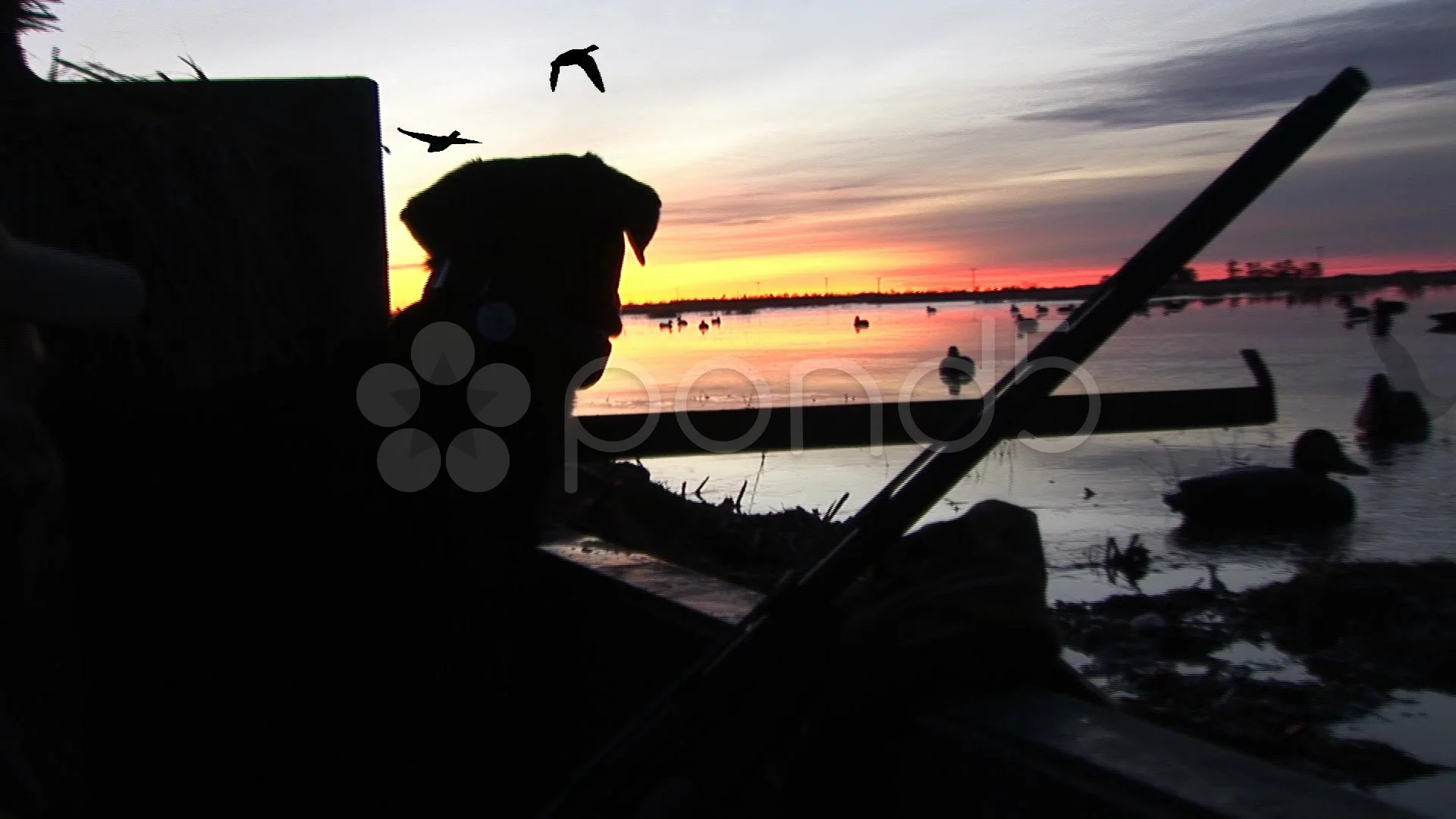 Duck Hunting Sunrise Hunting NMDGF