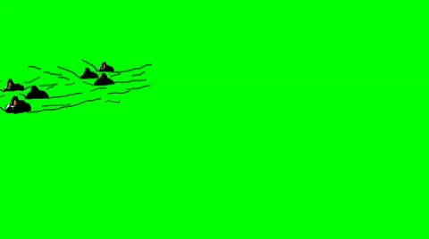 Duck Hunting Swimming Greenscreen | Stock Video | Pond5