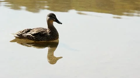 Waiting For Others Stock Videos – Royalty-Free HD & 4K Videos | Pond5