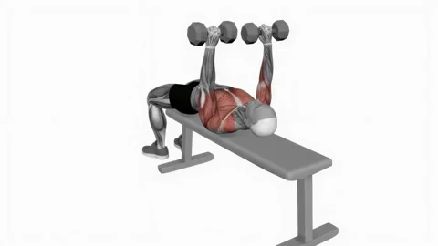 Fitness Animation Stock Video Footage | Royalty Free Fitness Animation ...