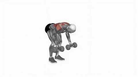 Fitness Animation Stock Video Footage | Royalty Free Fitness Animation ...