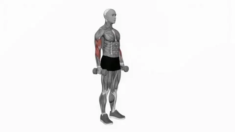Fitness Animation Stock Video Footage | Royalty Free Fitness Animation ...