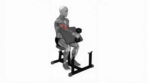 Dumbbell One Arm Hammer Preacher Curl fi... | Stock Video | Pond5
