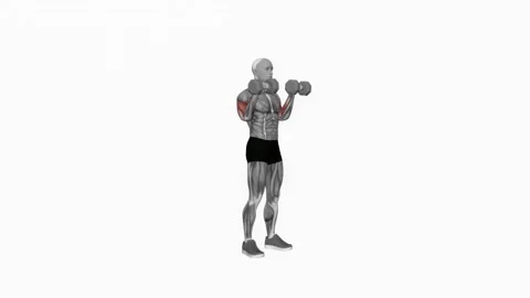 Fitness Animation Stock Video Footage | Royalty Free Fitness Animation ...