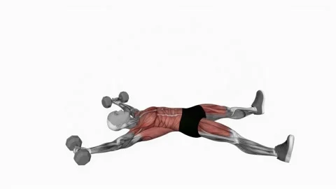 Fitness Animation Stock Video Footage | Royalty Free Fitness Animation ...