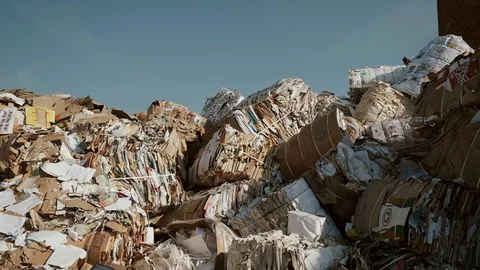 Dump Of Old Paper. Paper Recycling. | Stock Video | Pond5