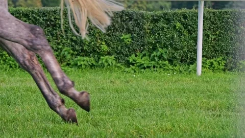 Re Run Stock Videos – Royalty-Free HD & 4K Videos