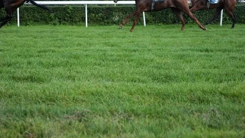 Re Run Stock Videos – Royalty-Free HD & 4K Videos