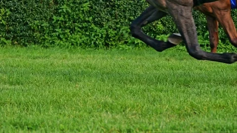 Re Run Stock Videos – Royalty-Free HD & 4K Videos