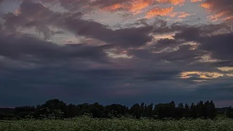 Dusky Clouds Slide Over White Flower Fie... | Stock Video | Pond5