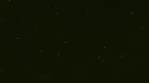 Dust Particles Alpha Stock Video Footage | Royalty Free Dust Particles ...
