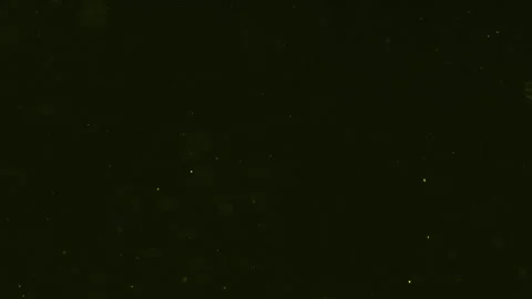 Dust Particles Alpha Stock Video Footage | Royalty Free Dust Particles ...